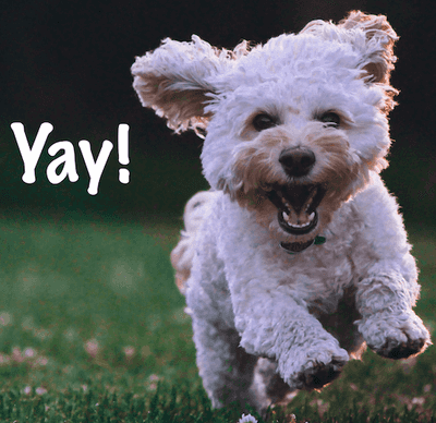 Old Ruby and New Mac · Daniela Baron